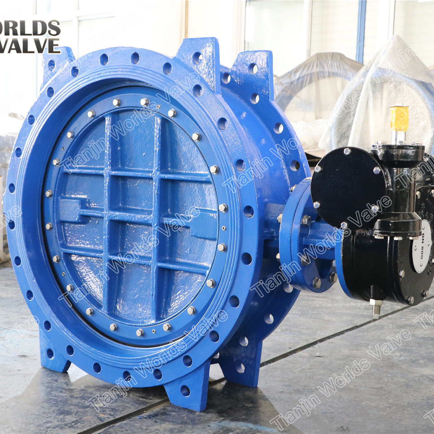 EN558 Series14 Eccentric Double Flanged Butterfly Valve from China ...