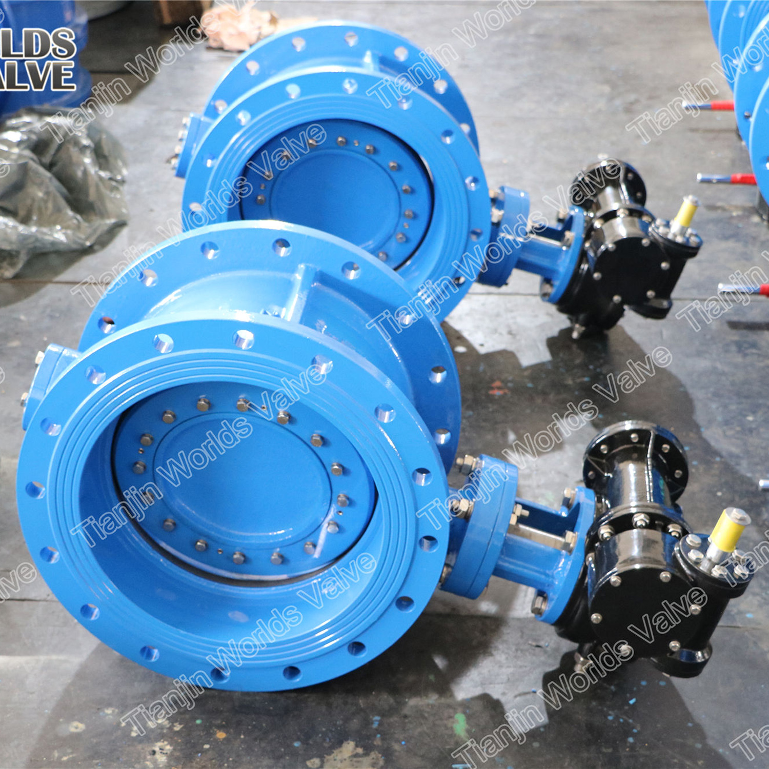 EN558 Series14 Eccentric Double Flanged Butterfly Valve from China ...