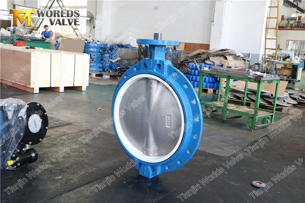 DN600 Wafer Type Butterfly Valve with PTFE Liner from China ...