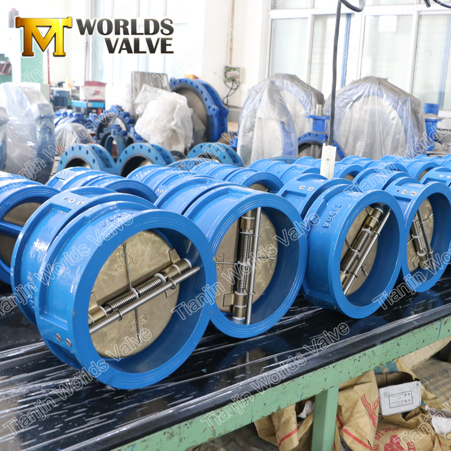 Non Return Valves Wafer Double Flap Check Valve from China manufacturer ...