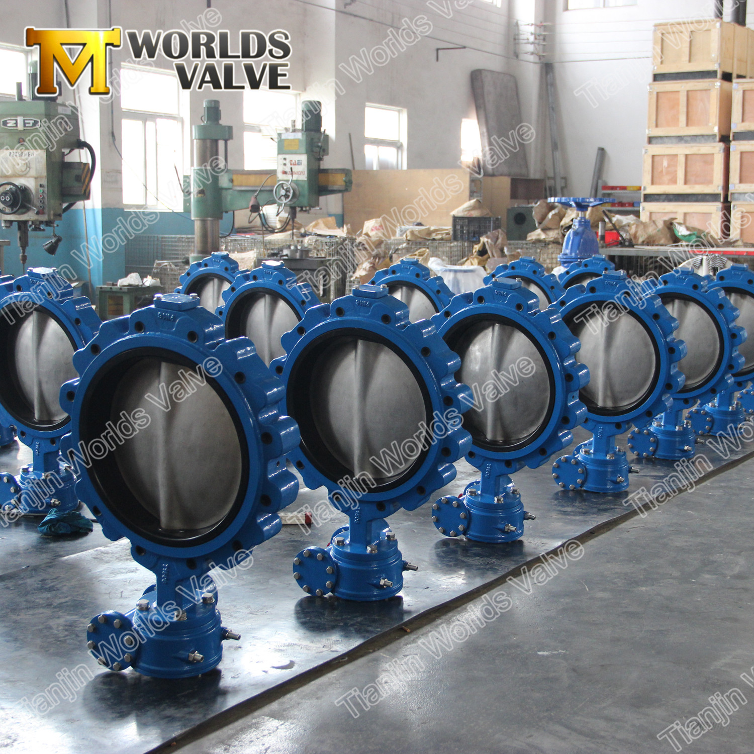 Tapped Threaded hole Lugged Butterfly valve with Lever Gear Operator ...