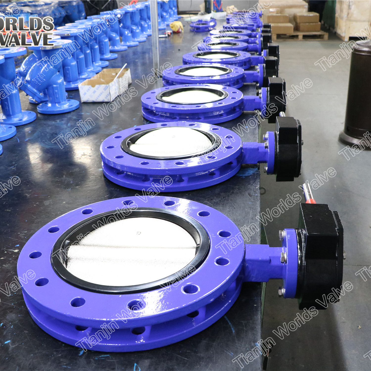 Concentric Line Vulcanized Bonded Seat Butterfly Valve Fbe Double Flange U Section from China ...