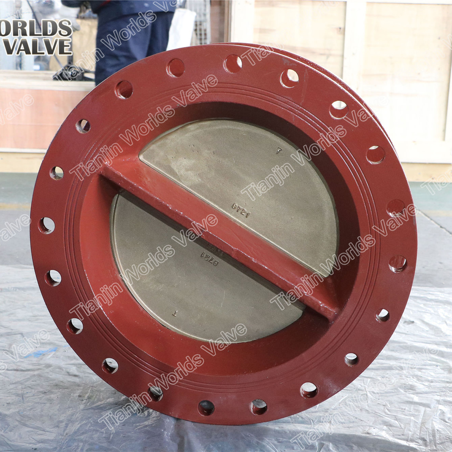 Double flanged Dual Plate Check Valves Aluminum Bronze Disc from China ...