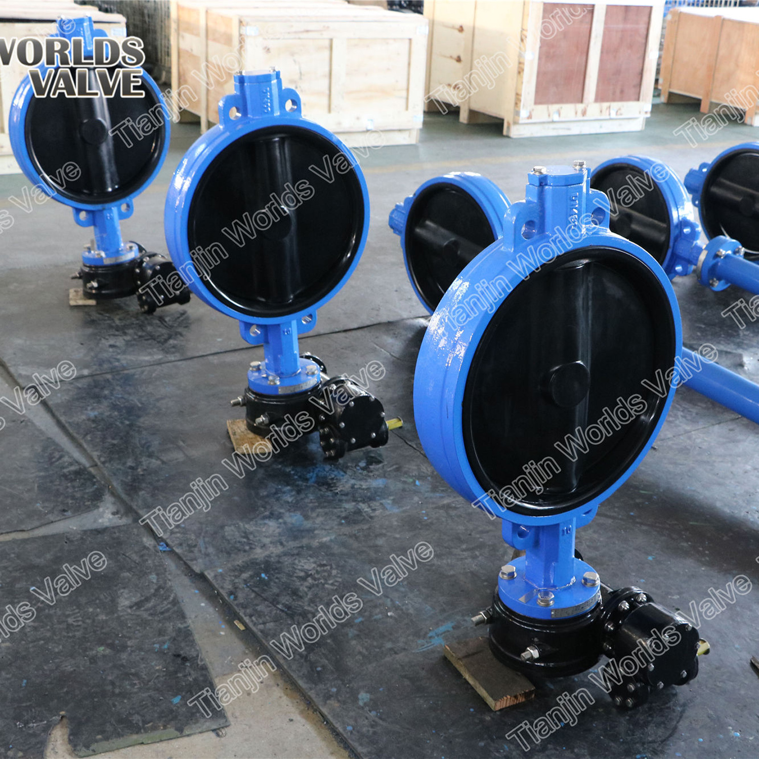 EPDM Rubber Coated Disc Butterfly Valve with Square Stem/Stem with Key ...