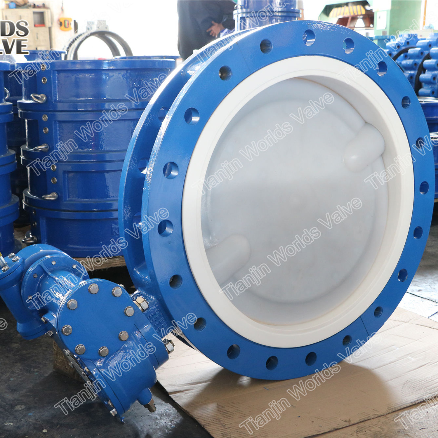 DN750 All PTFE PFA Lining Flange Butterfly Valve 30 Inch from China ...