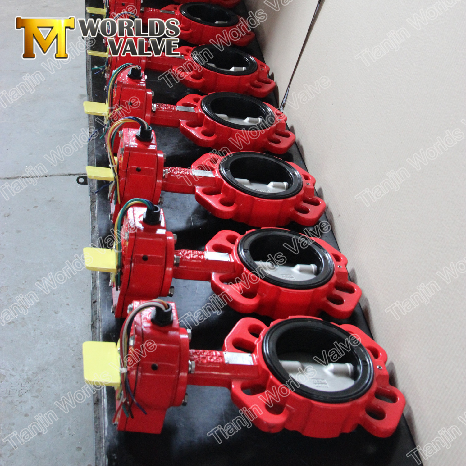 PN6 PN10 PN16 PN25 CL125 Cl150 Butterfly Valves with AS TableD Table E ...
