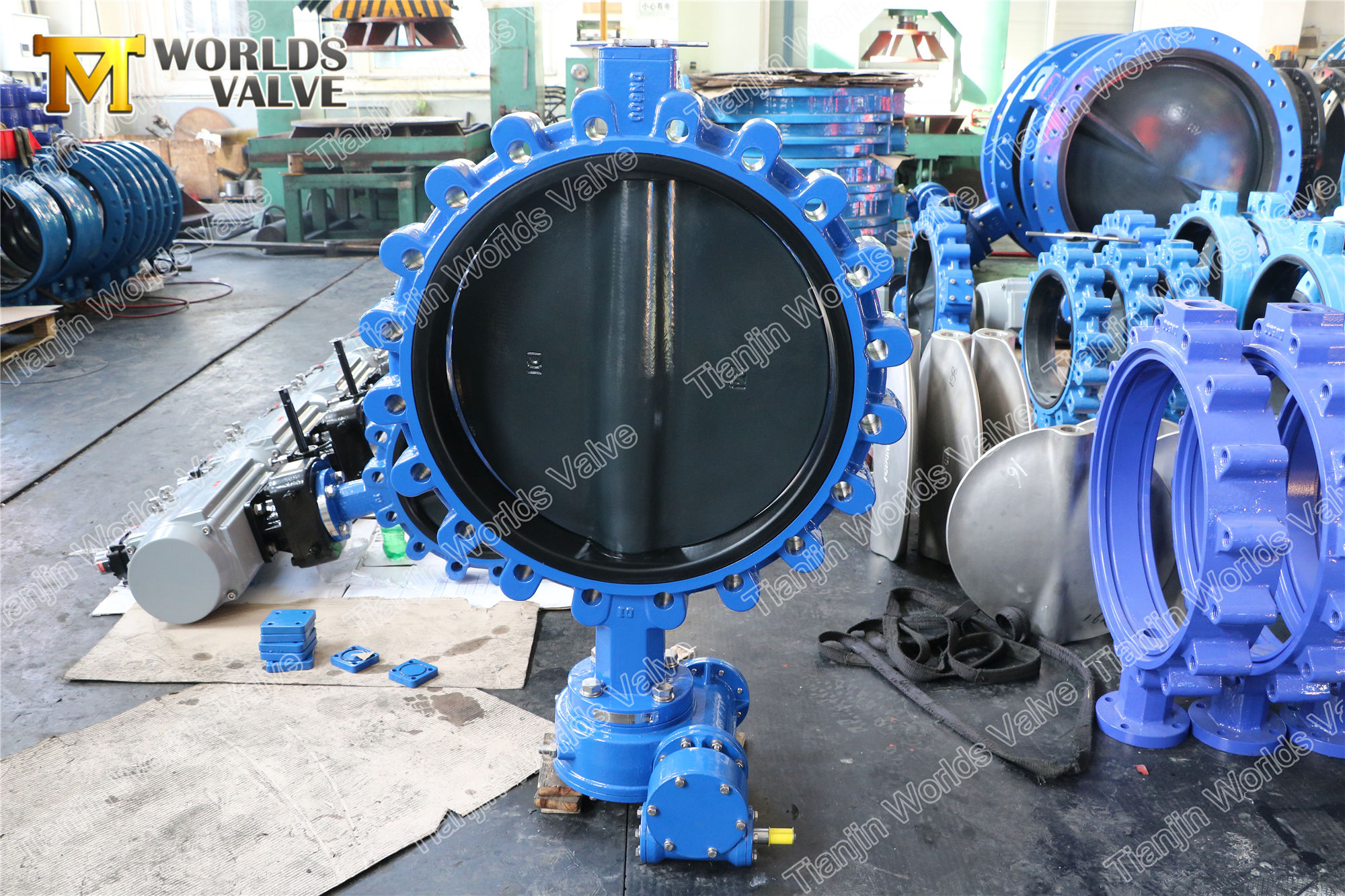 Halar coated disc concentric lugged type butterfly valve seawater from China manufacturer ...