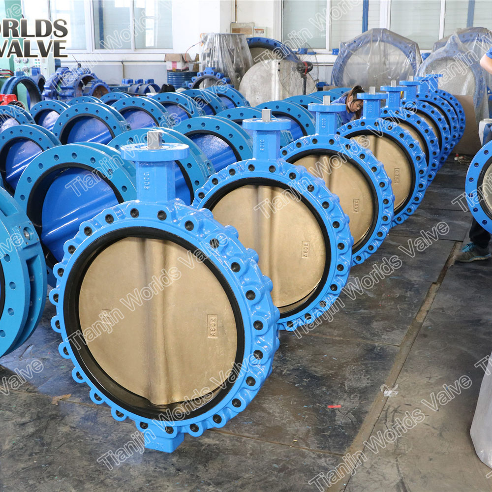 VITON/FKM/FPM Seat Rubber Liner Butterfly Valve from China manufacturer ...